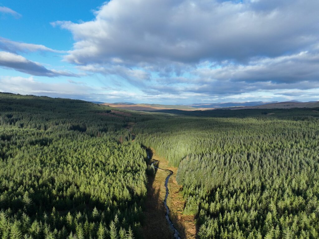About F&W Forestry Services | Forest Management Company