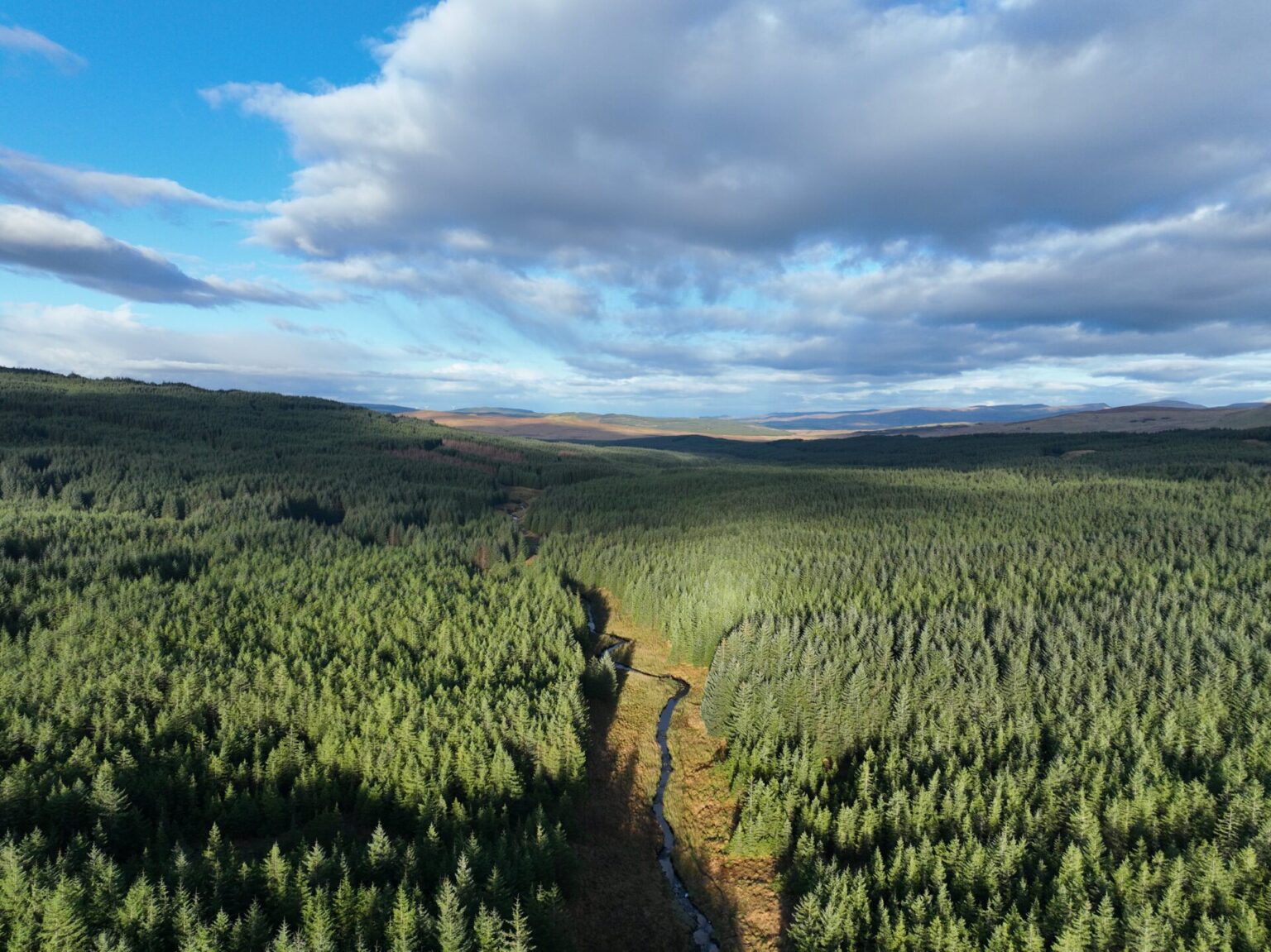 About F&W Forestry Services | Forest Management Company